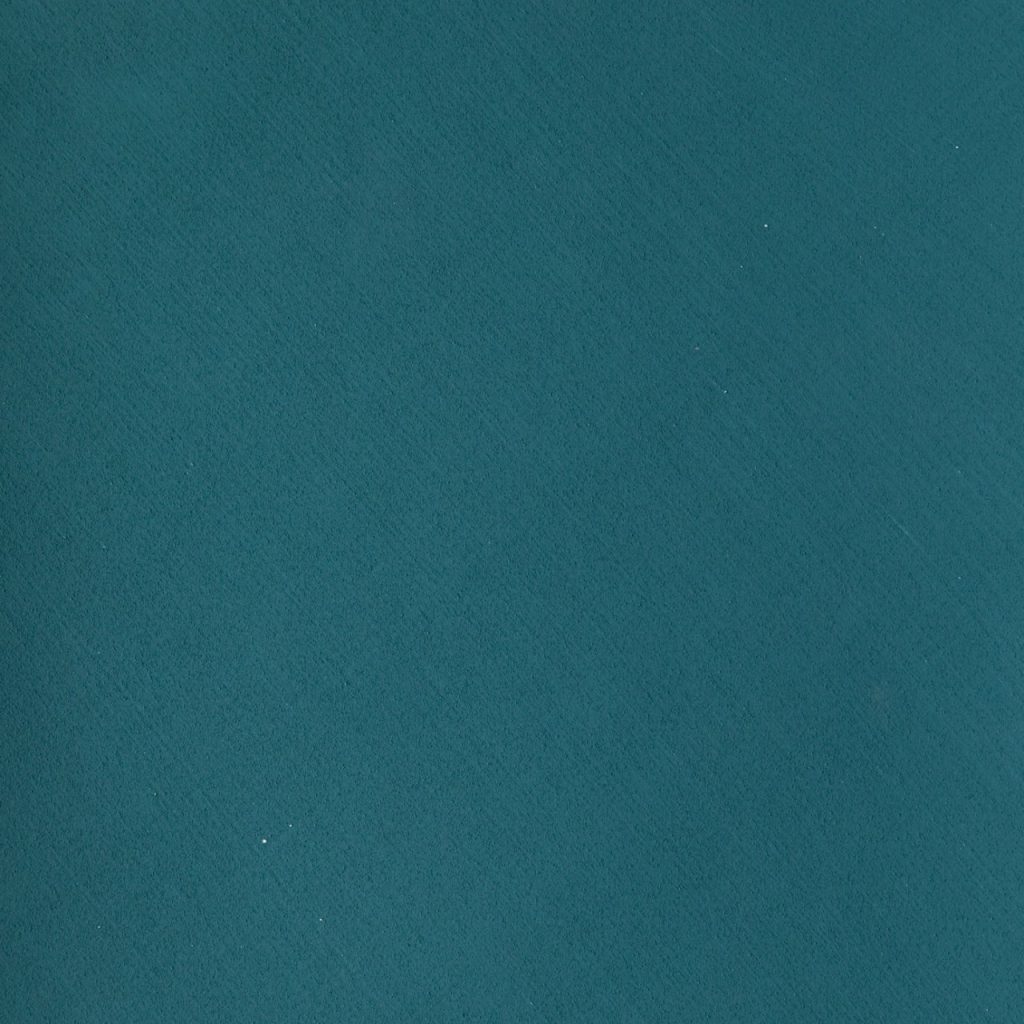 Forager - Murobond Superior Paints