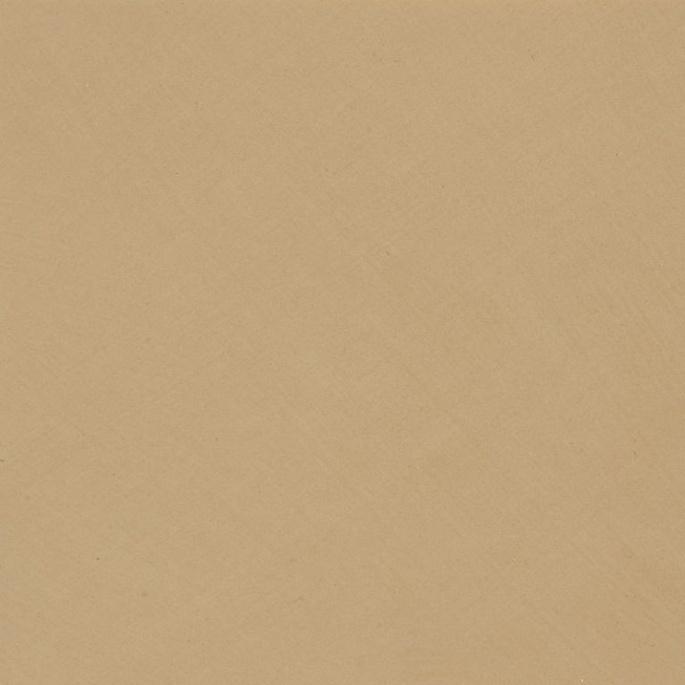 Camel - Murobond Superior Paints