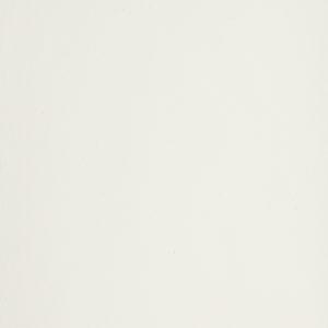 Bone - Murobond Superior Paints